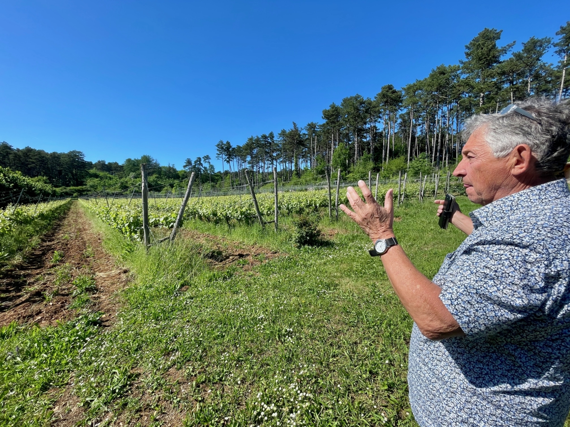 Montagne de Beaune – Un clos renaît de ses racines : permaculture ...