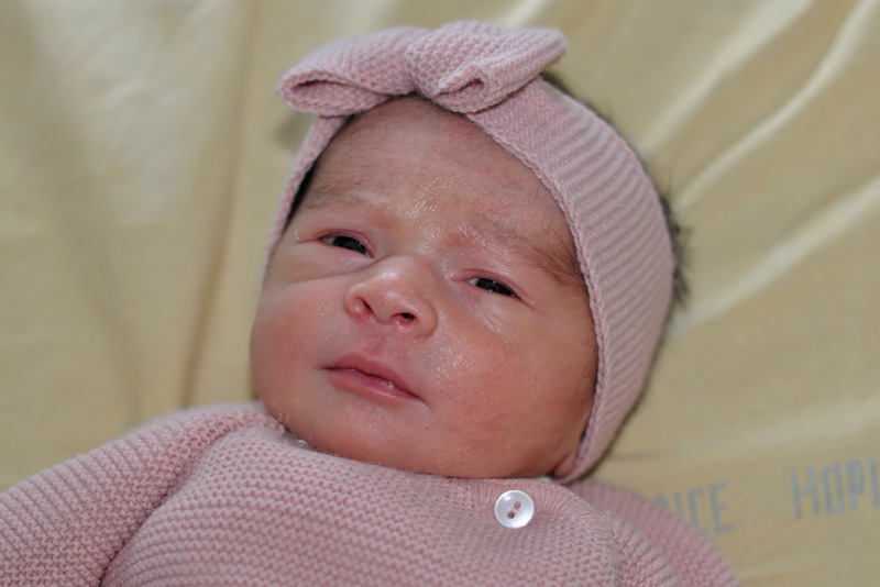 CARNET ROSE - Bienvenue à Hananeh - info-chalon.com - Toute l'actualité ...