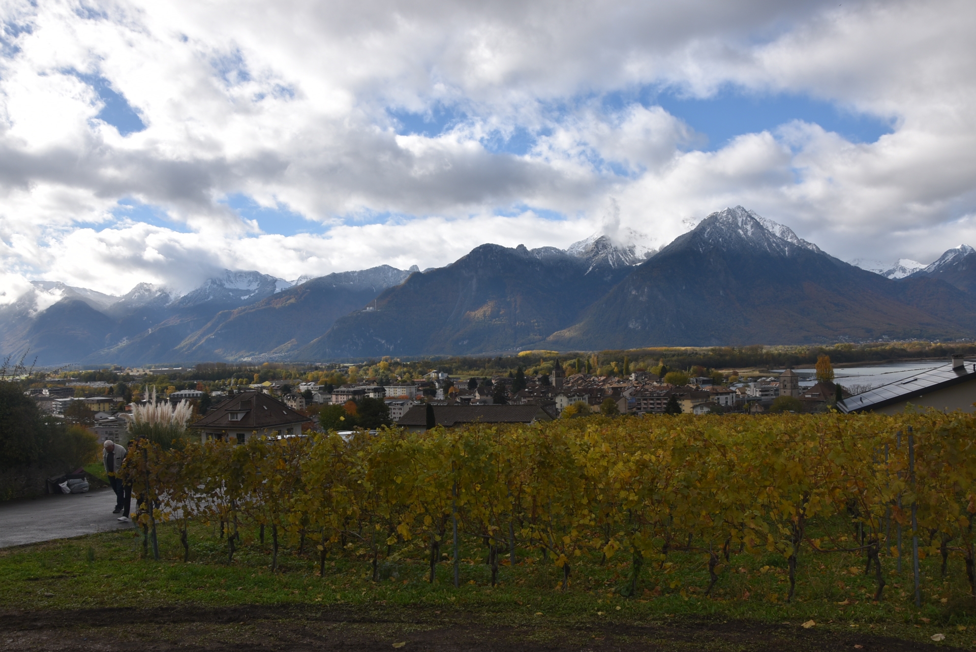 Villeneuve (Suisse) : La famille Diserens (viticulteur champion du ...