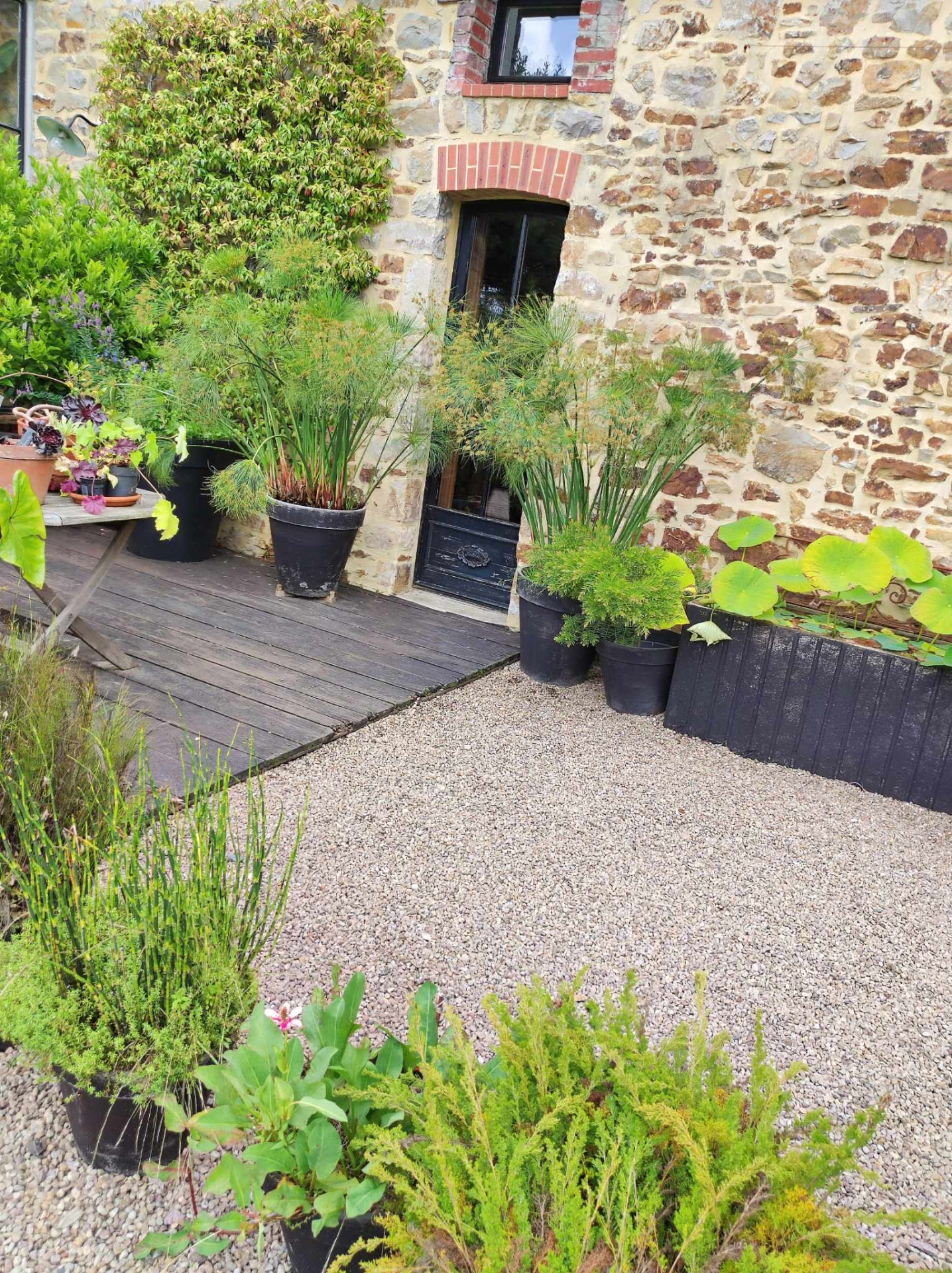 Dans le Cotentin, Stéphane Marie a ouvert son jardin enchanteur - info ...